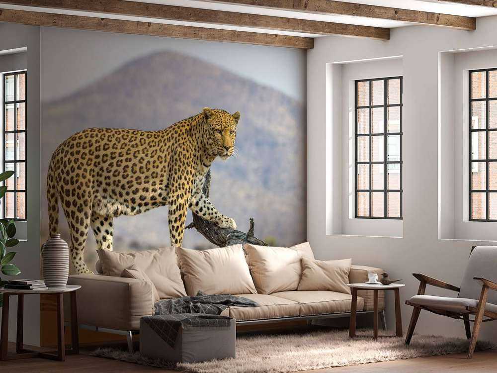 Wallpaper Mural - Leopard in Namibia - Wallpaper Murals