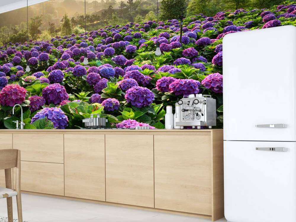 Wallpaper Mural - Hydrangeas in a field - Photo Wallpaper