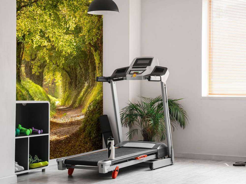 Halnaker tree tunnel - Photo Wallpaper