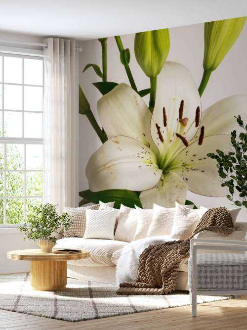 Lilies wallpaper store
